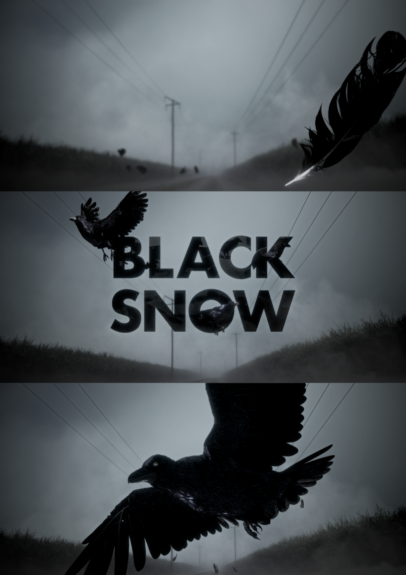 Black Snow - Studio Gilay