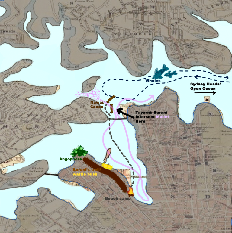 BARANI x Vivid 2024 - Studio Gilay