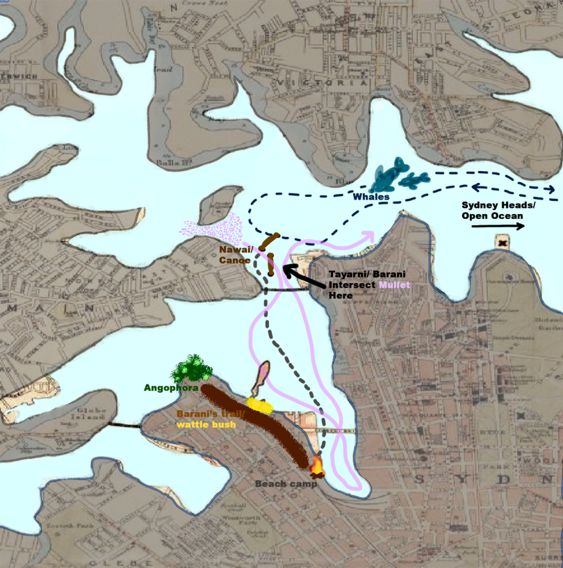 BARANI x Vivid 2024 - Studio Gilay