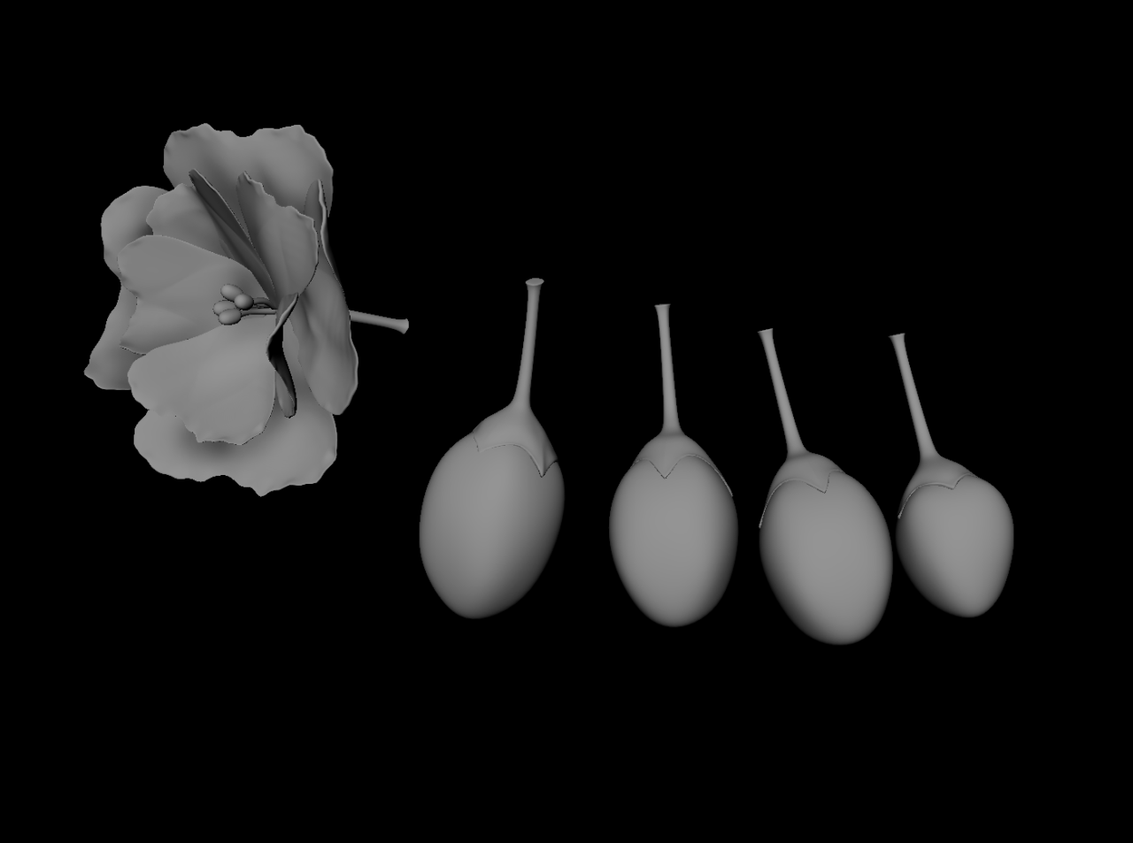 Trading Ways x The Royal Australian Mint - Studio Gilay