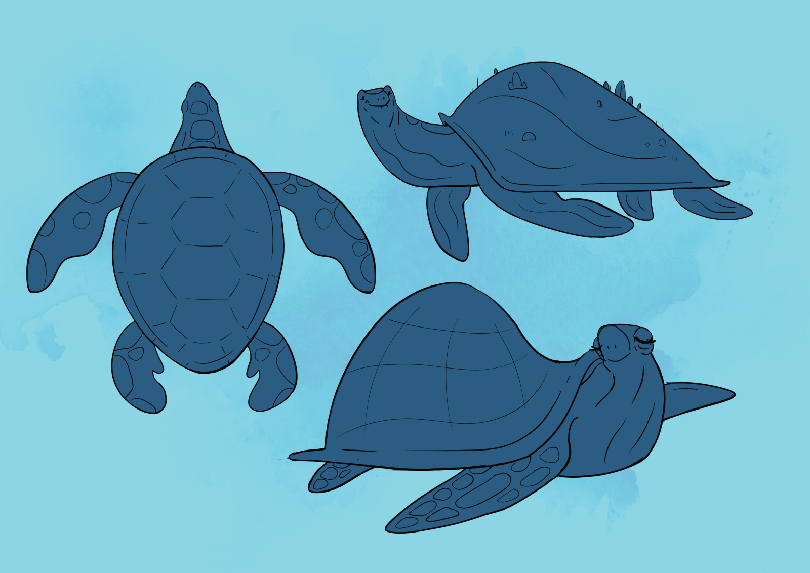 Piki Lullaby x ABC Kids - Studio Gilay